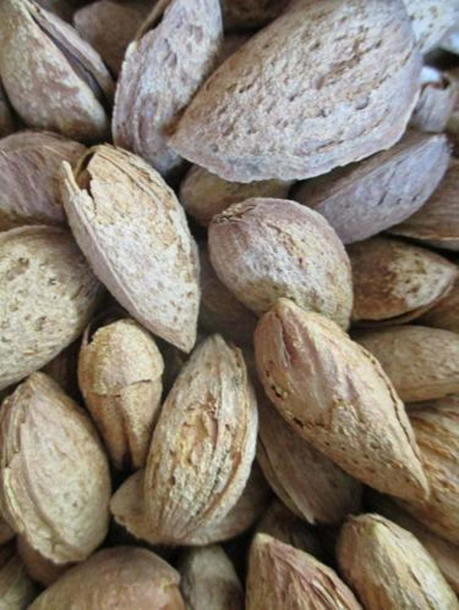 Dormant Pruning of Deciduous Fruit Trees – Tony Tomeo