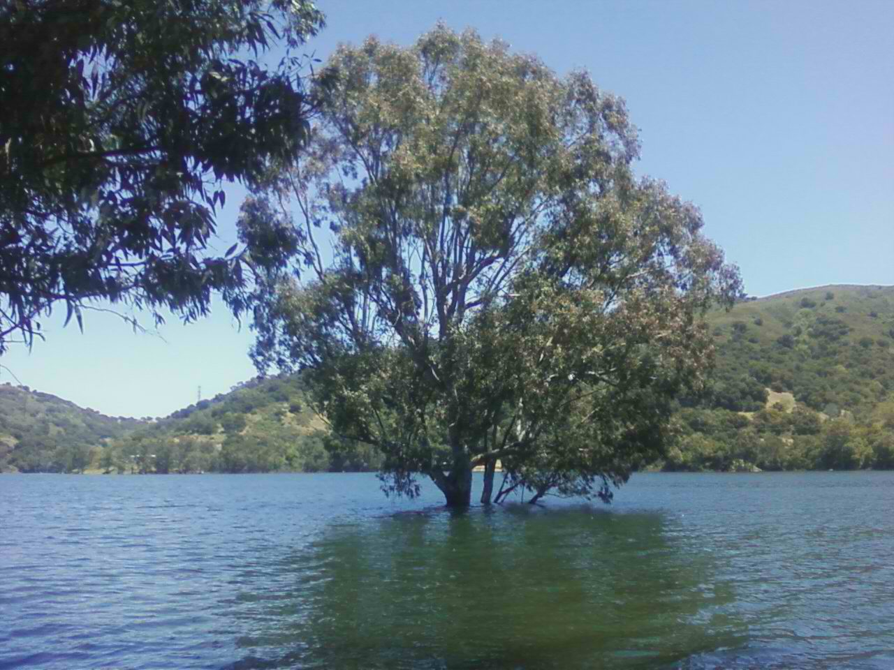 Mild Summer – Tony Tomeo